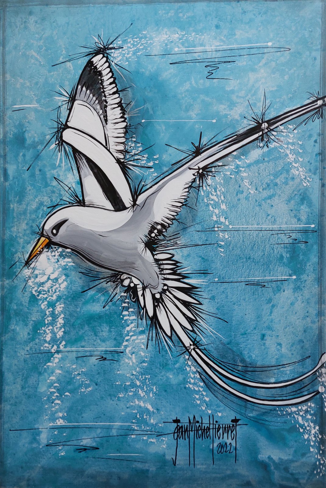 Paille en queue à La Saline Les Bains | Jean-Michel PIERRET 974 La Réunion